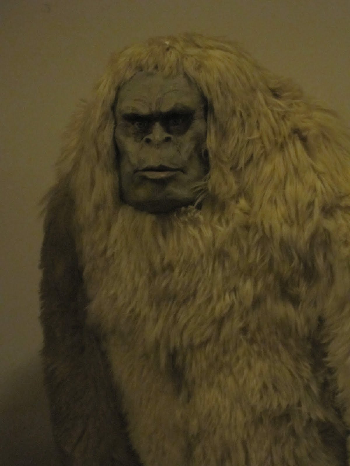 Tibetan,Big Foot of GOLDEN,Yeti,Esoteric,SKULL,Monkey,YETE,HOME ...