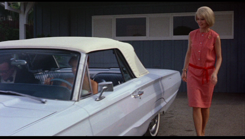 Love Music Wine and Revolution: Good Neighbor Sam (1964)