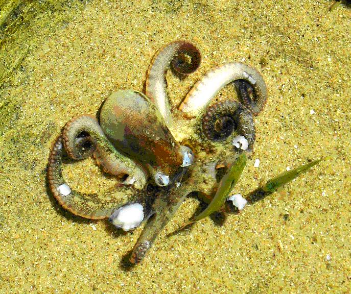 Eternal Youth of Nature: September 2010