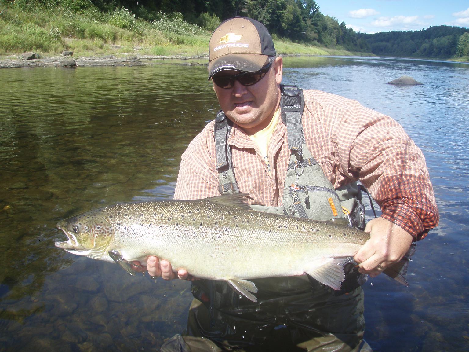 Rod's Miramichi Fishing Reports: Salmon move upstream