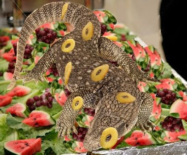 Cat Naps in Italy: Aloha!