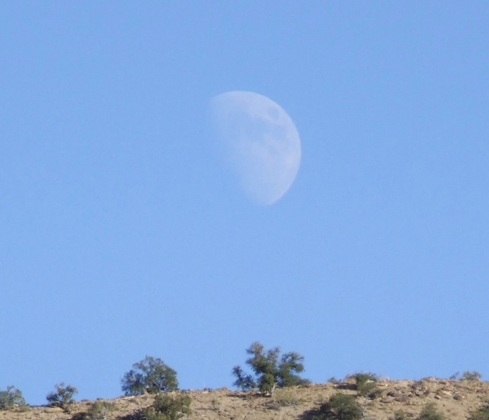 Skunk Tracks: Fall in Grand Junction