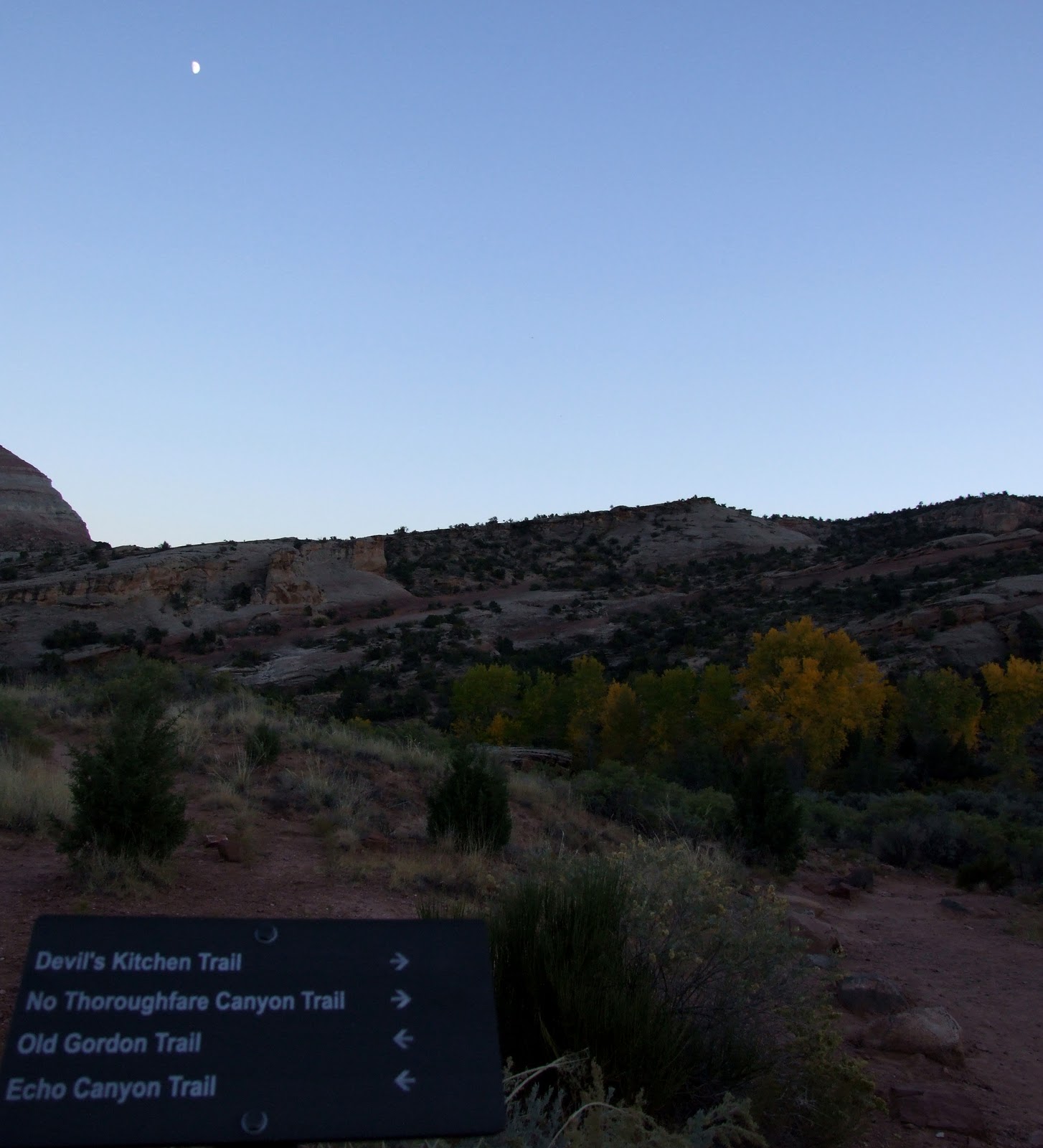 Skunk Tracks: Fall in Grand Junction