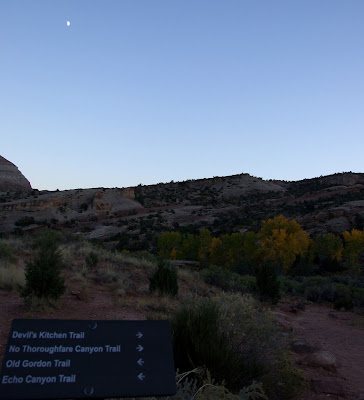 Skunk Tracks: Fall in Grand Junction