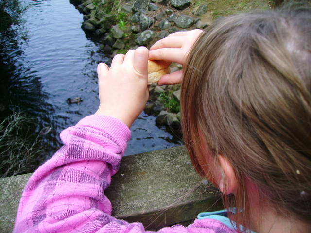 School Girls Going Commando