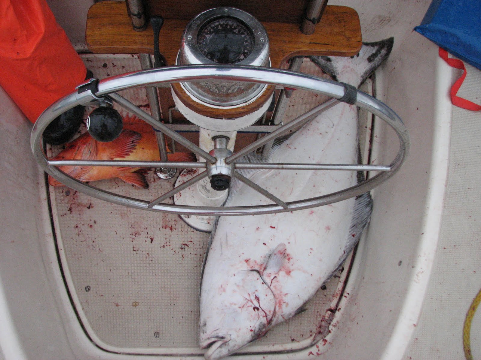 Sailing Leviathan, a Westsail 43: Alaska's Kenai Peninsula, from Seward ...