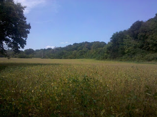 TENNESSEE FLY FISHING: Elk River Trip, Lynchburg, TN