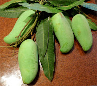 JoJo in Laos: Strange Fruit