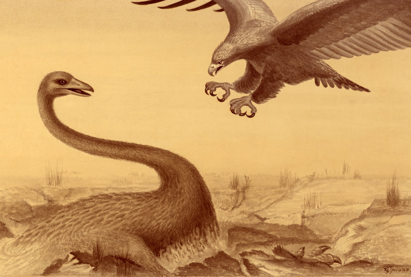 Art, Life, TV, Etc.: The Way We Lived Then