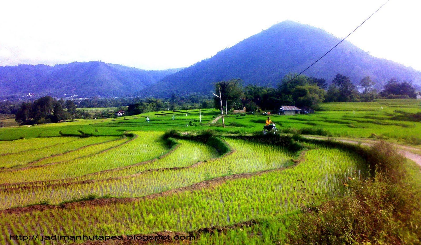 Jadiman Hutapea: Danau Toba, Primadona Toba Samosir