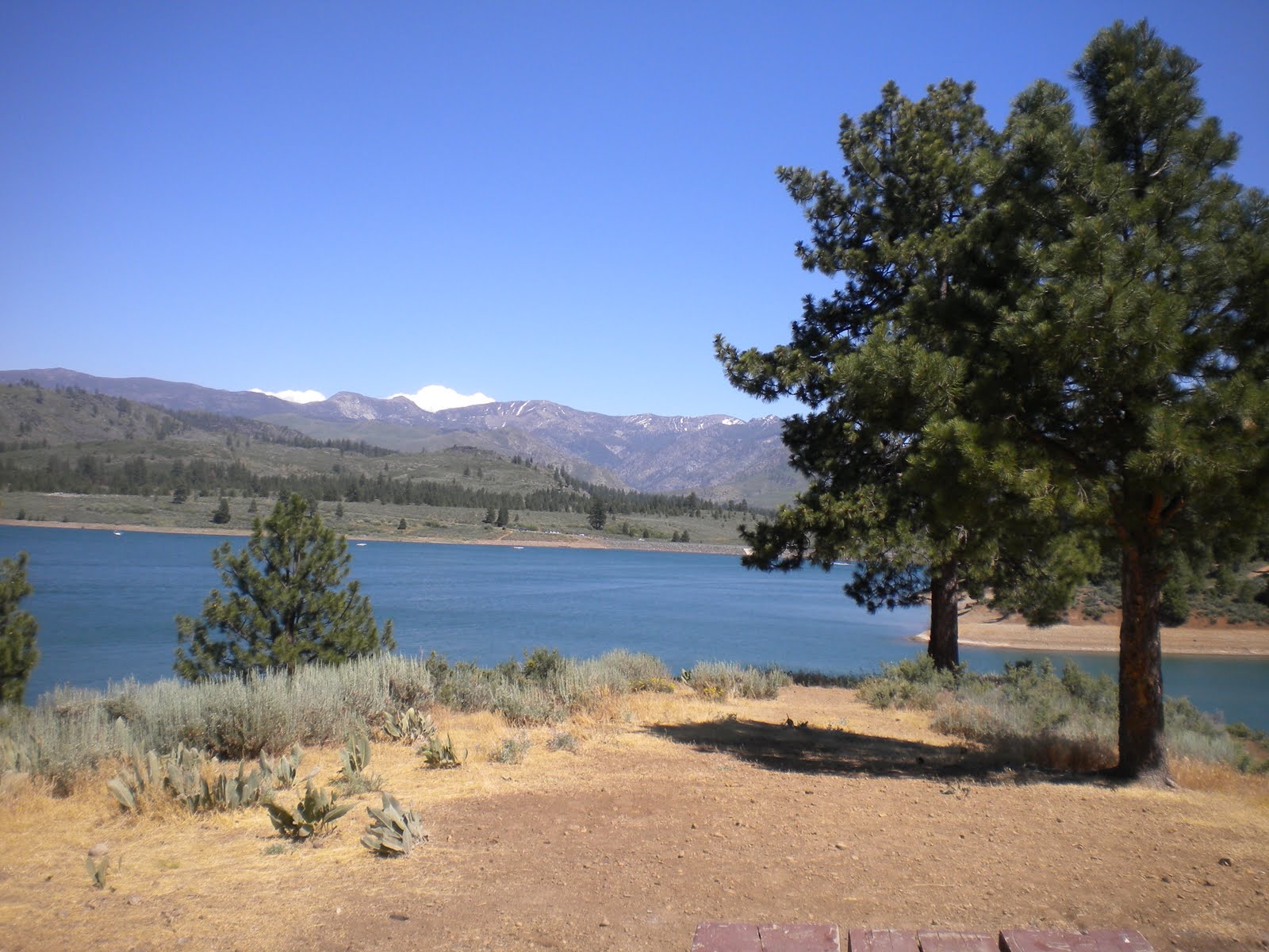Scollay Family Happenings: Camping at Boca Reservoir...