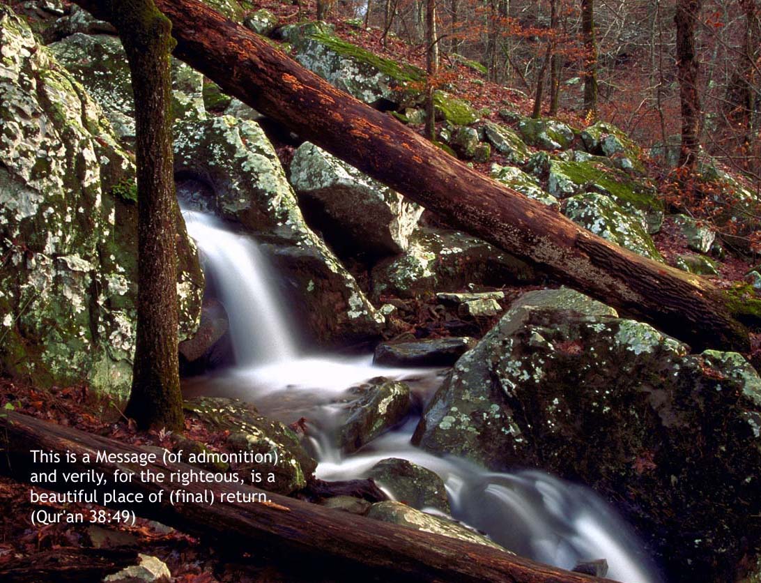 Love Muhammad Day: Nature Islamic wallpapers