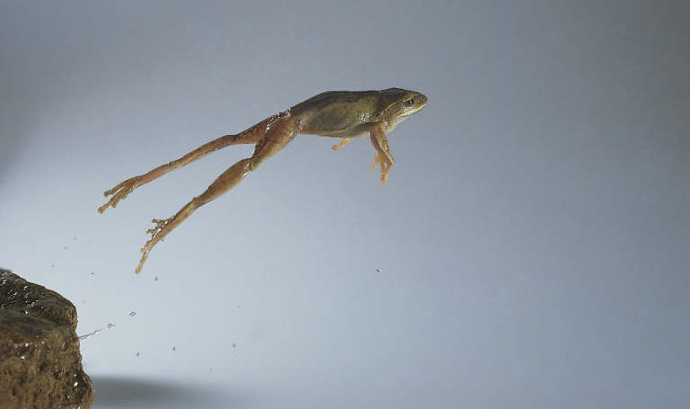 A little bit of everything: April 2010