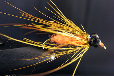 Got Backing? (Formerly Known as Mr. P.'s Blog): Mr. P.'s Carp Carrot