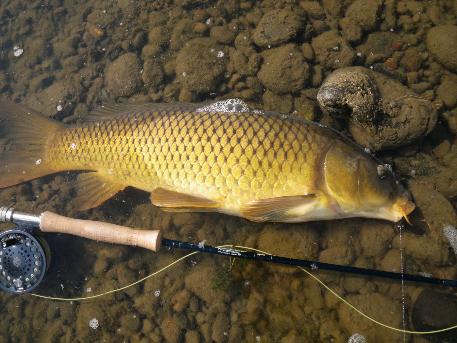 Got Backing? (Formerly Known as Mr. P.'s Blog): The Sun Finally Sets on ...