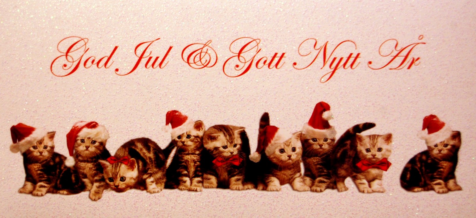 Oväsentligheter?: Dags att utse årets julkort 2010!!!