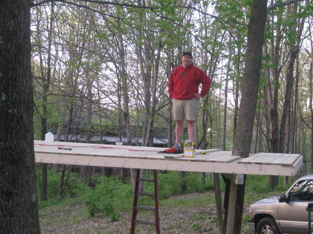 Virginia Lee: Treehouse Progress