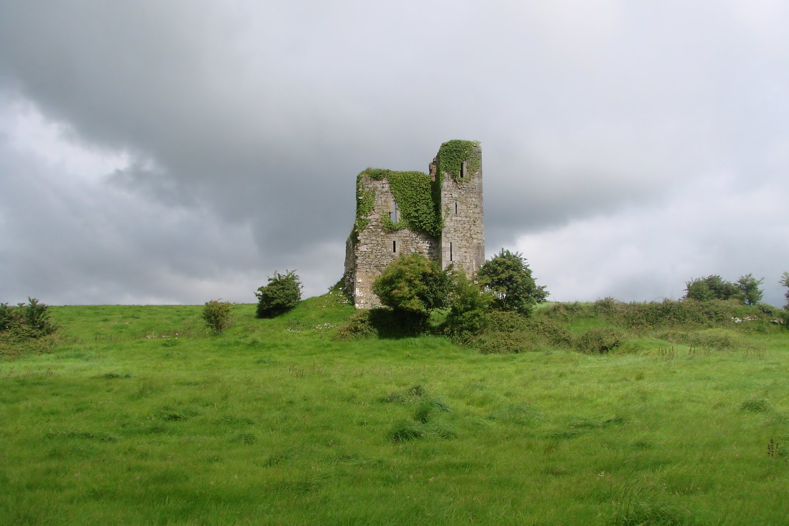 Early Modern Whale: At Kilcolman Castle
