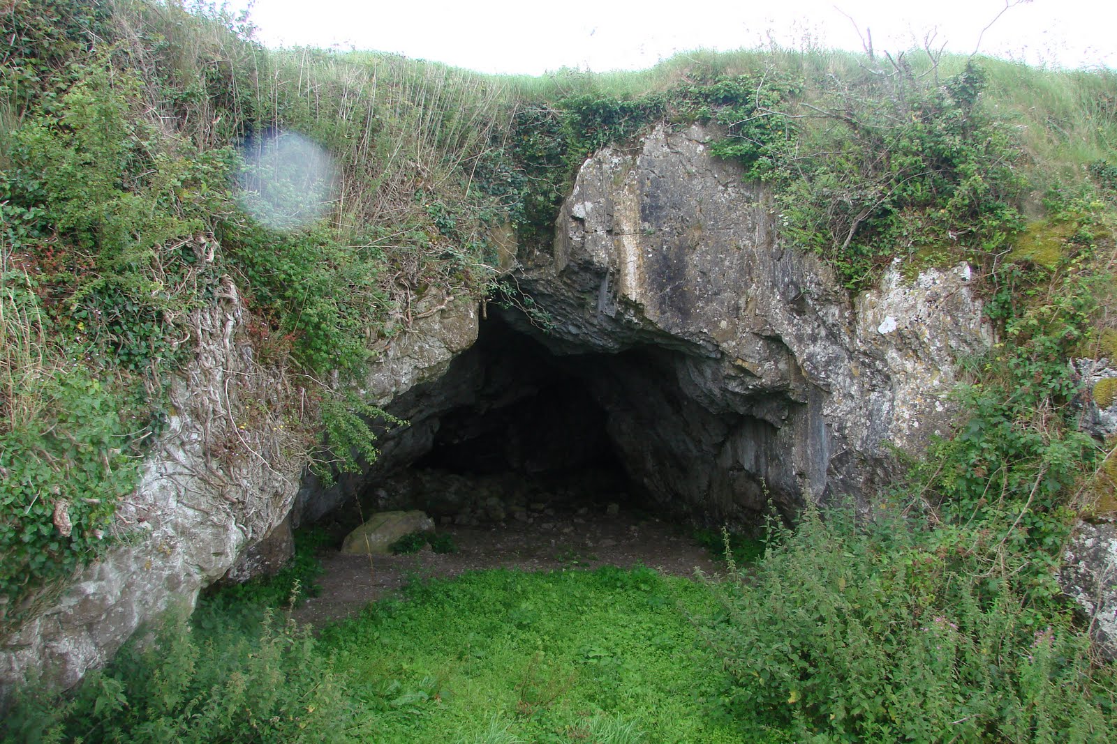 Early Modern Whale: At Kilcolman Castle