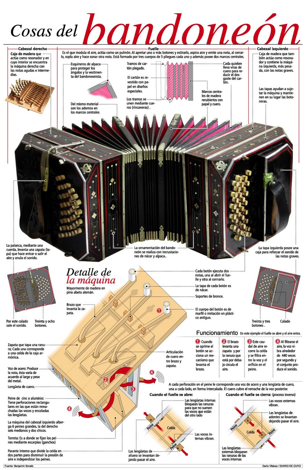 Bandoneón: Infográfico de como funciona um bandoneón