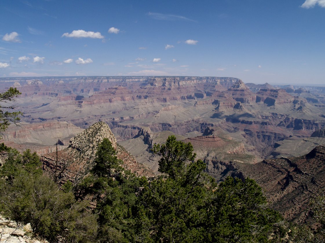 Horseshoe Mesa. Grand View Trail. Grand Canyon. | El Guisante Verde ...