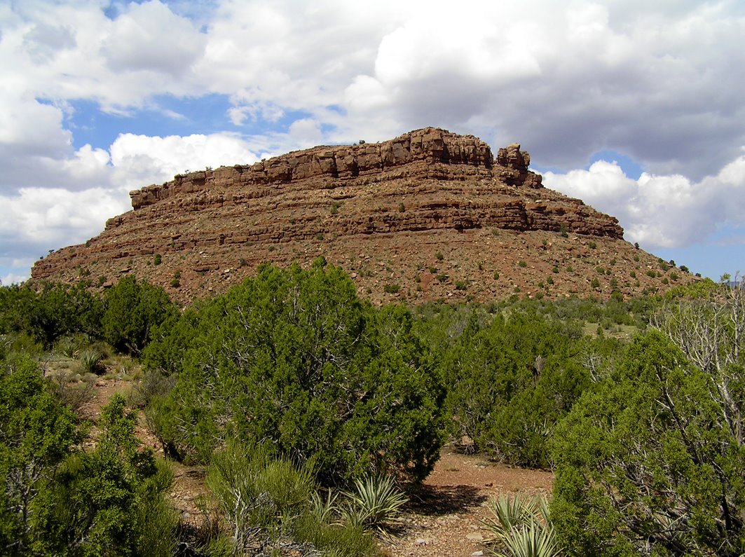 Horseshoe Mesa. Grand View Trail. Grand Canyon. | El Guisante Verde ...