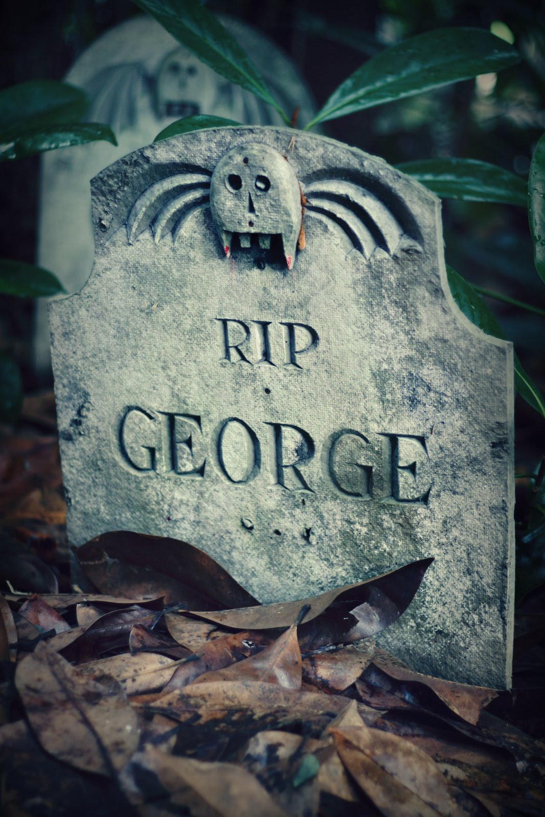 a little light reading: gorey story