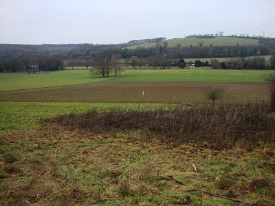 VISIT TO THE UNIVERSITY OF SUSSEX: Weald and Downland Open Air Museum ...