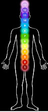 Synergy Essences: About the 13 Chakras Essences
