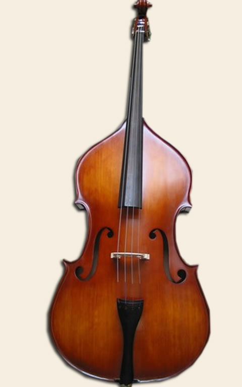 Didamusica: el contrabajo por javi