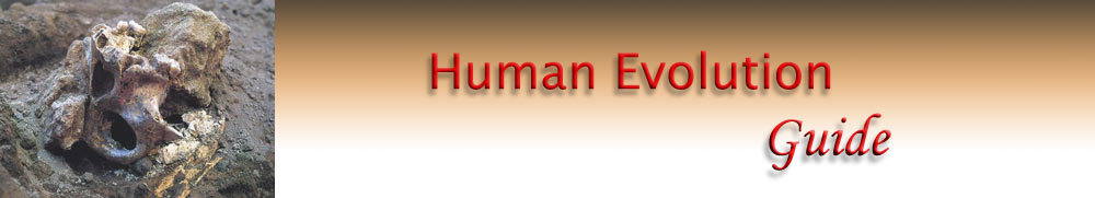 Human Evolution Guide