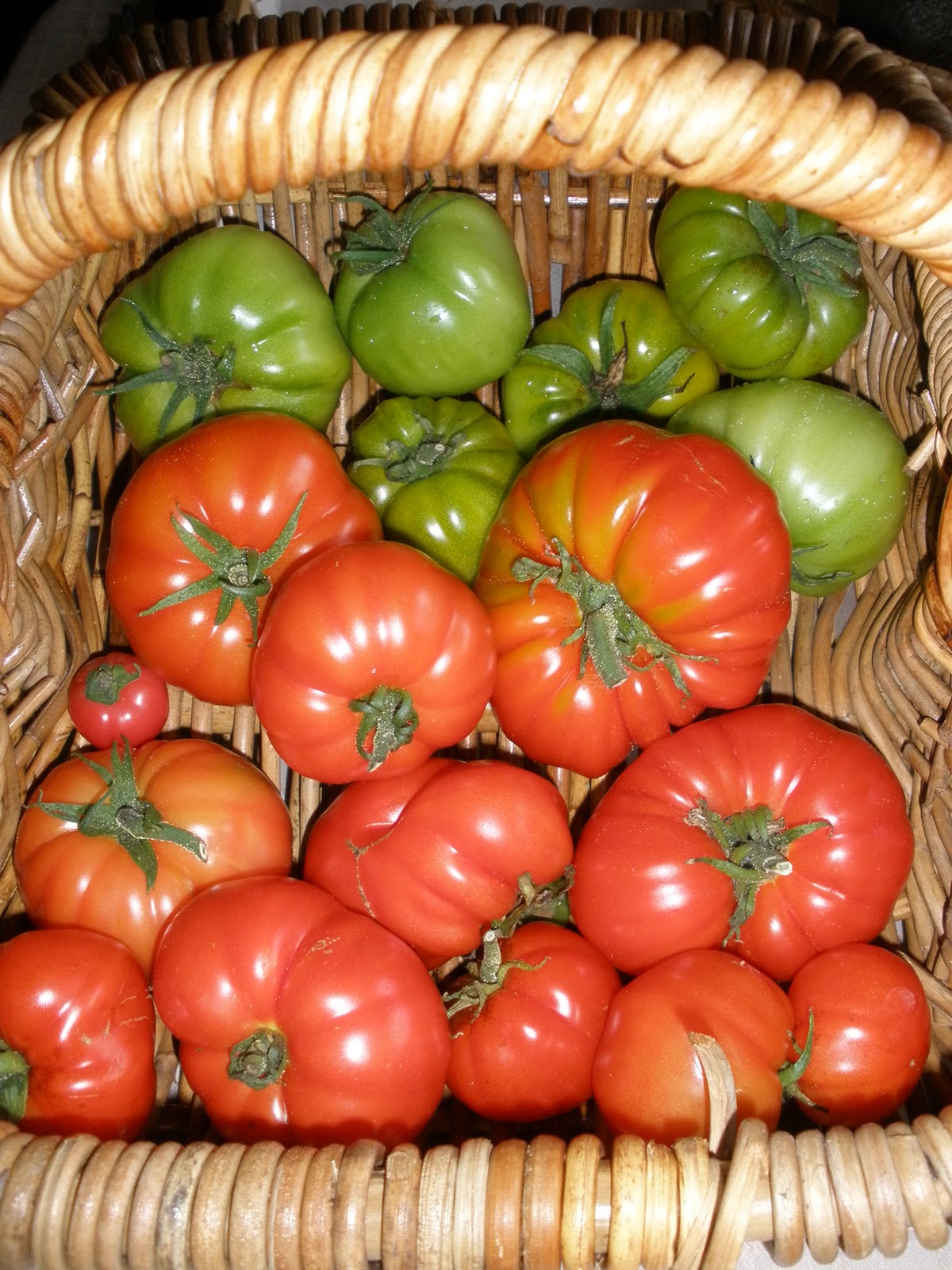 North West Herbs Tasmania Fresh Culinary Herbs For Hospitality