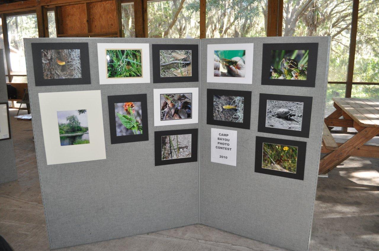 Camp Bayou Nature Notes: Art Show and Photo Contest Winners