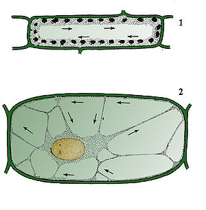 Structure of Cell [Part 1] ~ Pass. Science. Solutions.