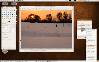 GIMP Photo Editing Tutorials: Saturating Colors/Selective Saturation