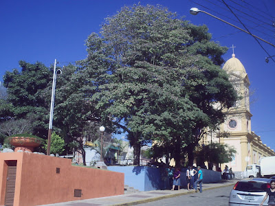 GUAPIARA / PINHEIROS: CIDADE DE GUAPIARA