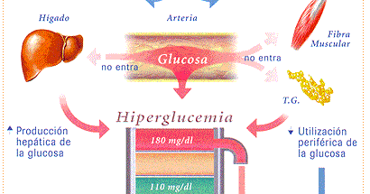 DIABETES: Hiperglucemia
