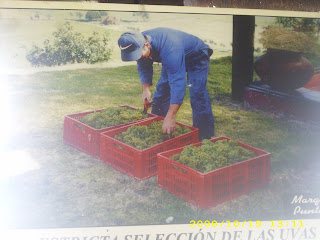 BOYACA: MARQUES DE PUNTA LARGA