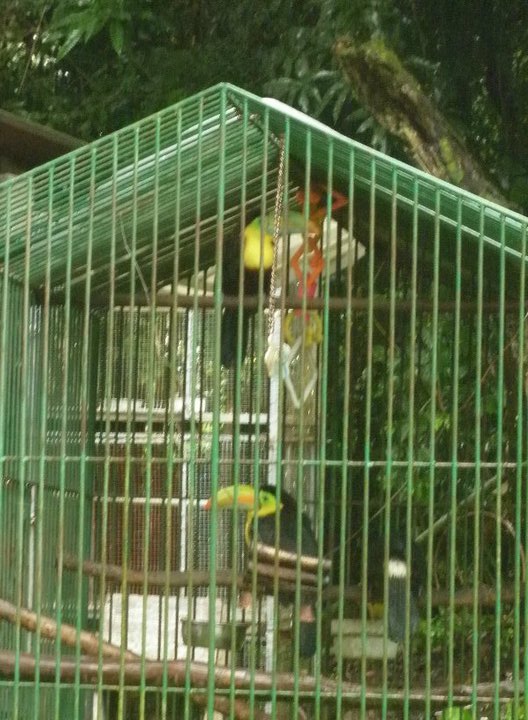 NelSxn: El Valle de Antón