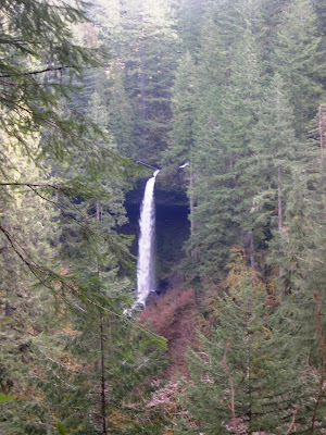 cynthia & mike: Silver Falls State Park and Silverton Reservoir Marine Park