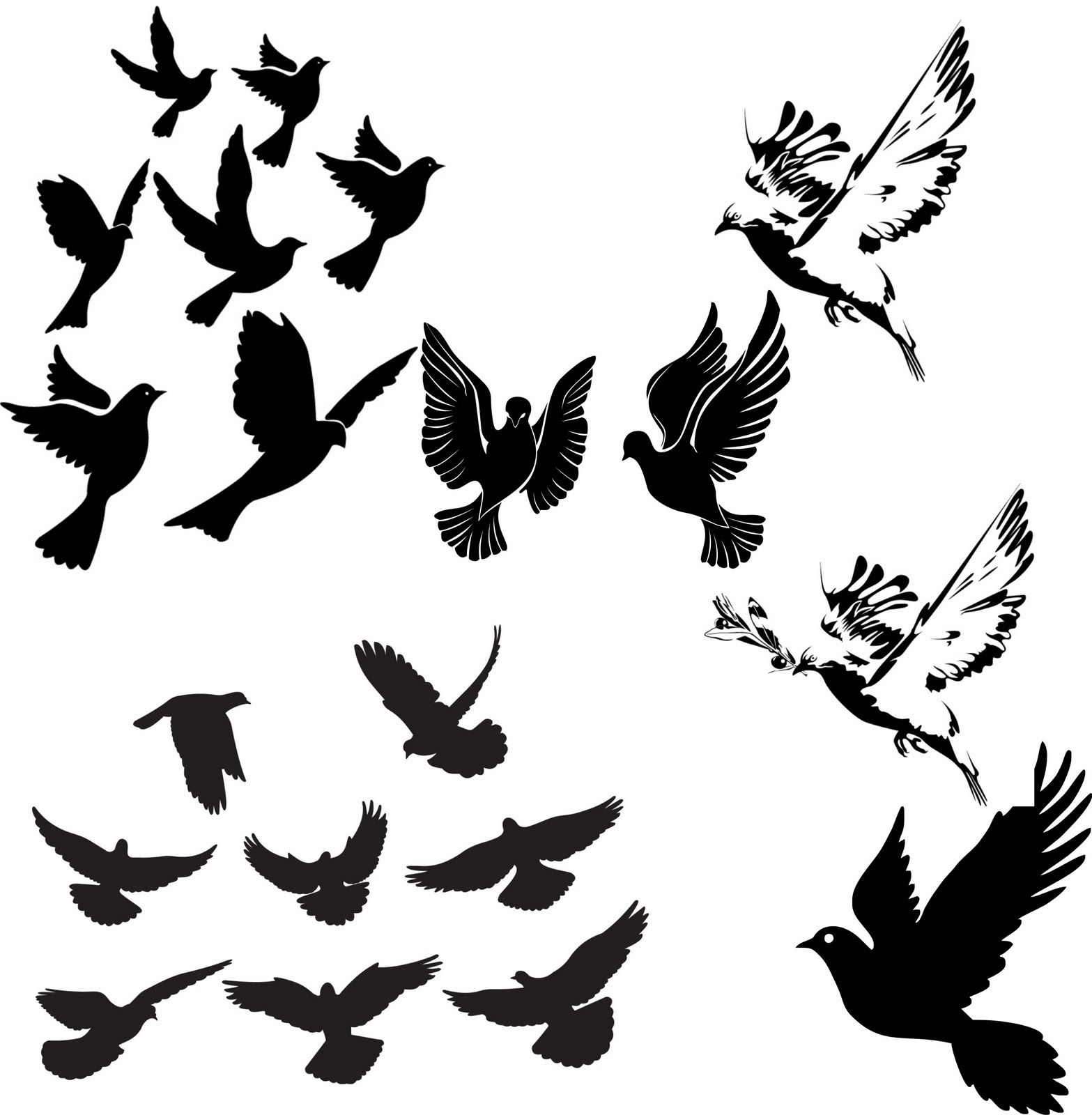 Vectores De Paloma at Genmaeveblog Blog