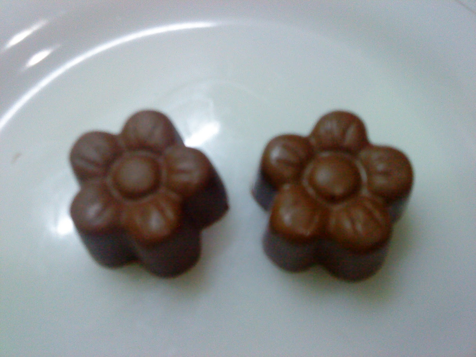 IEDAZ HOMEMADE CHOC: BENTUK-BENTUK COKLAT..