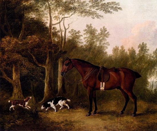 Equitazione & Cavalli (Horses & Riding): I cavalli di John Boultbee ...