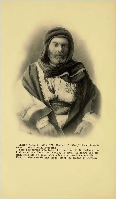 Equitazione & Cavalli (Horses & Riding): 'My quest of the Arab horse ...