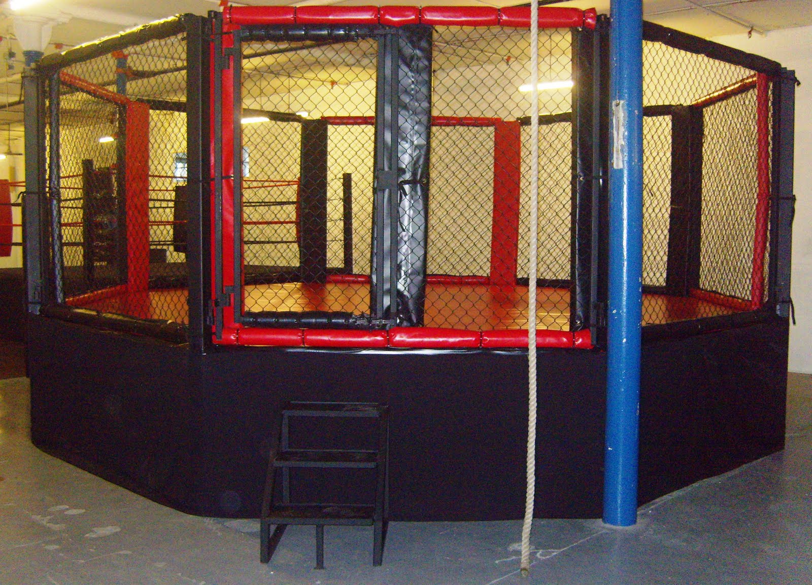 The Blog of the Fighting Photographer: New ring and cage!!