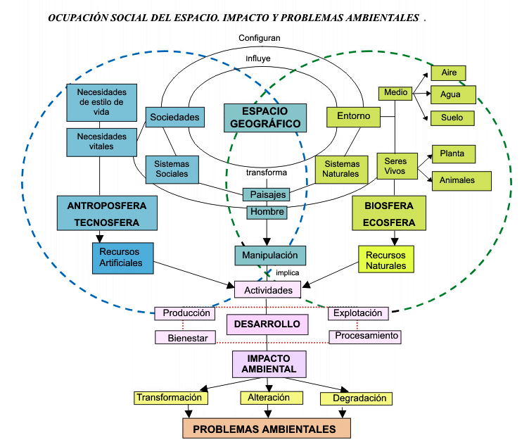 RELACION DE LOS SERES VIVOS Y EL MEDIO AMBIENTE.