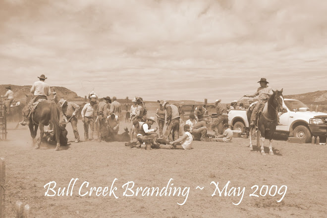 The Life of a Cowboy & his Family...: NCHA Futurity & Awards Party in ...