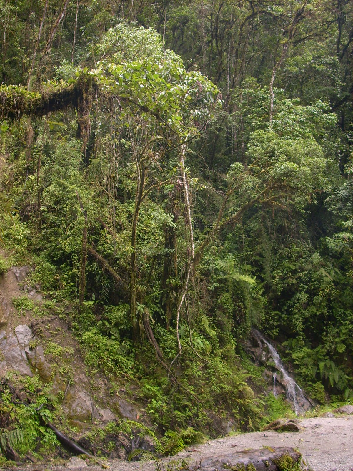 Tiempos de Viajes: Cascada de Mandor