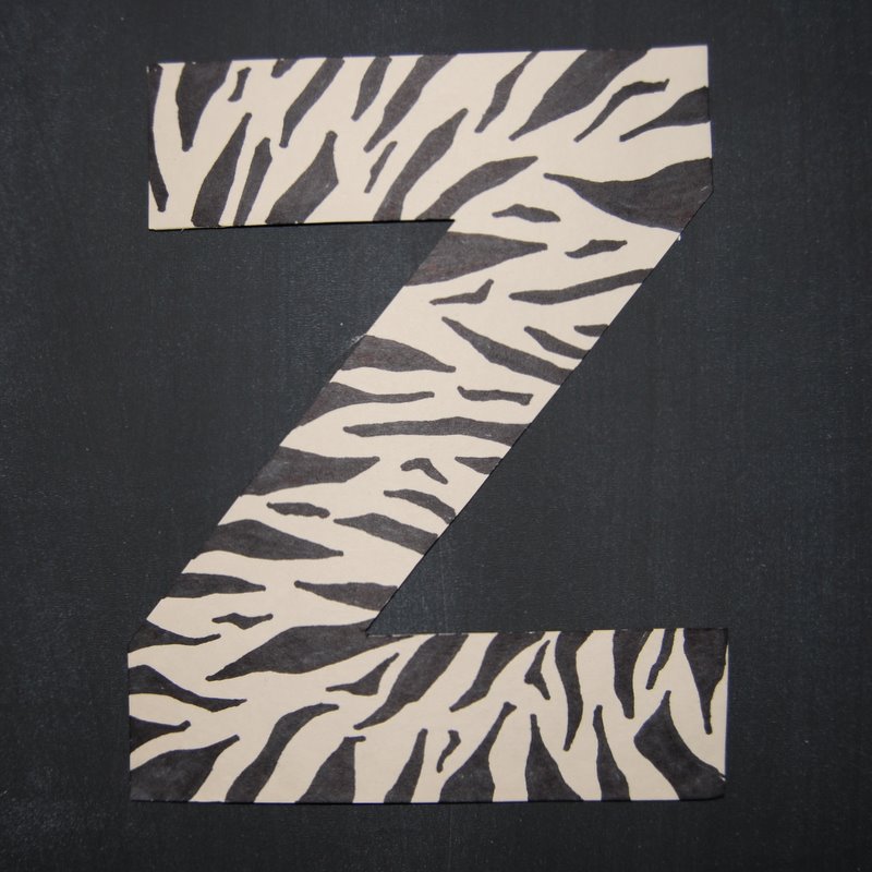 Make Monthly: Z is for Zany Zebra Print