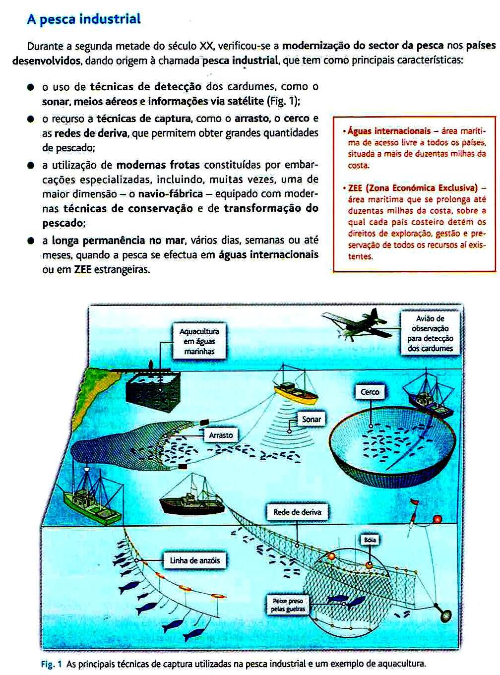 netgeografiapaz: pesca moderna.industrial - características impactos 2
